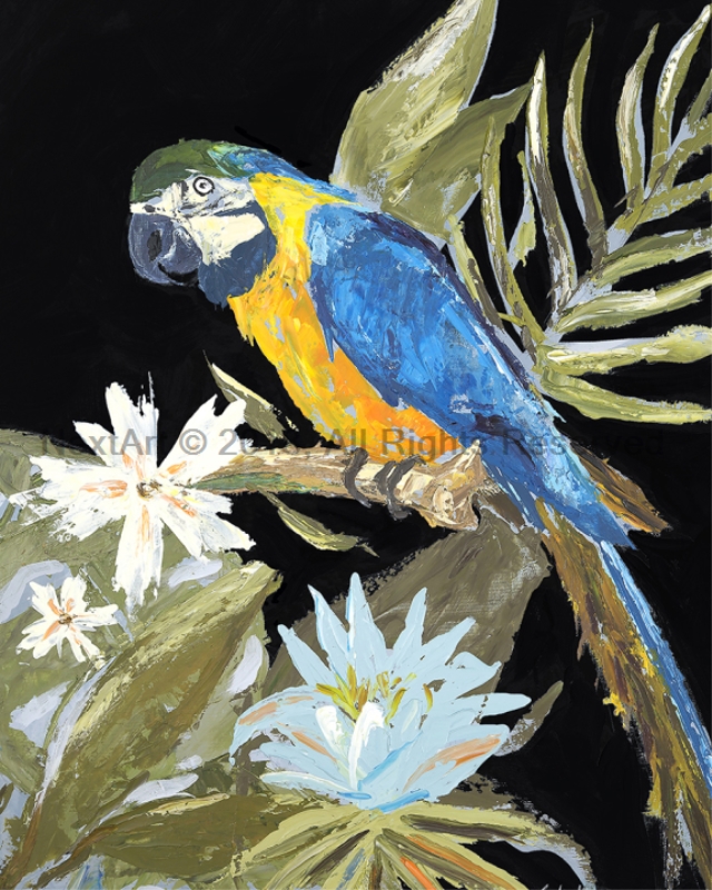 nextART. Parrot Paradise IV