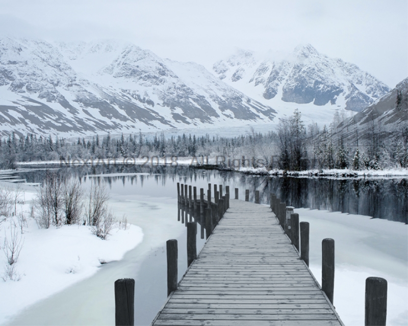 nextART. Winter Dock