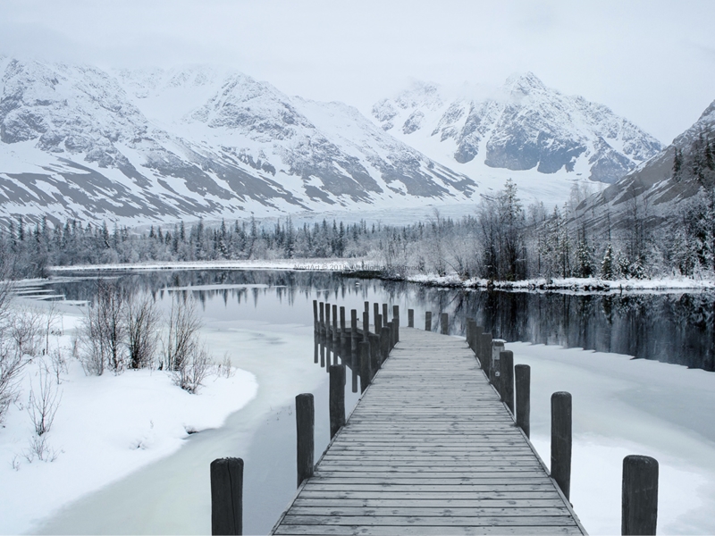 nextART. Winter Dock