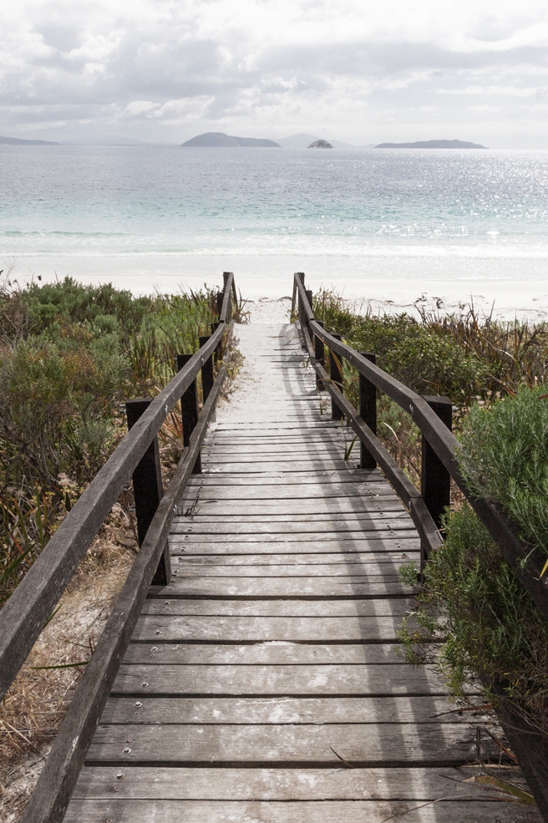 nextART. Wooden Path II