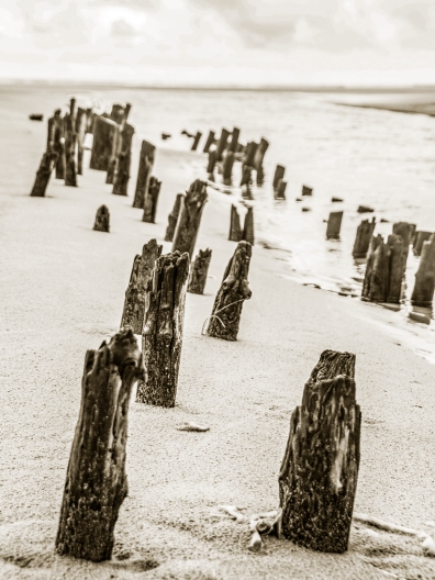 nextART. Peace at Low Tide