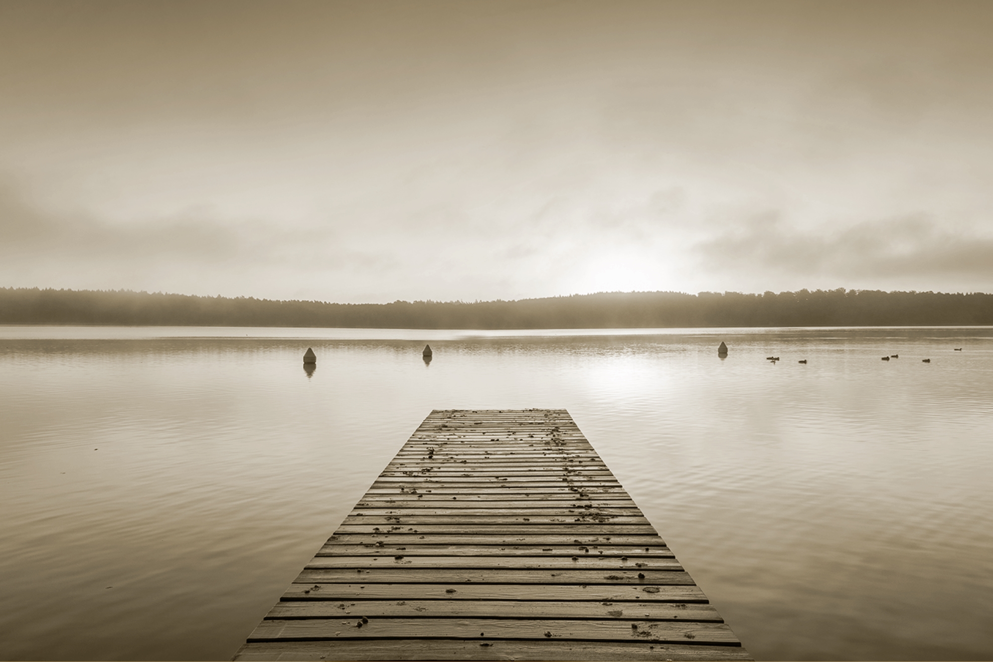 nextART. Sunrise Dock