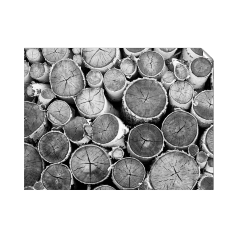 nextART. Stacked Logs