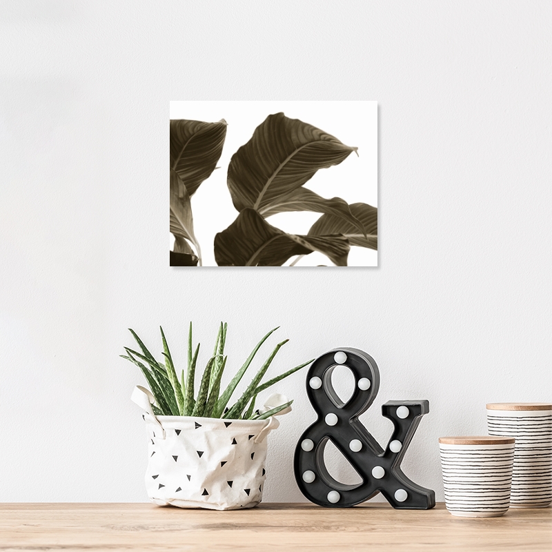 nextART. Plant Bliss