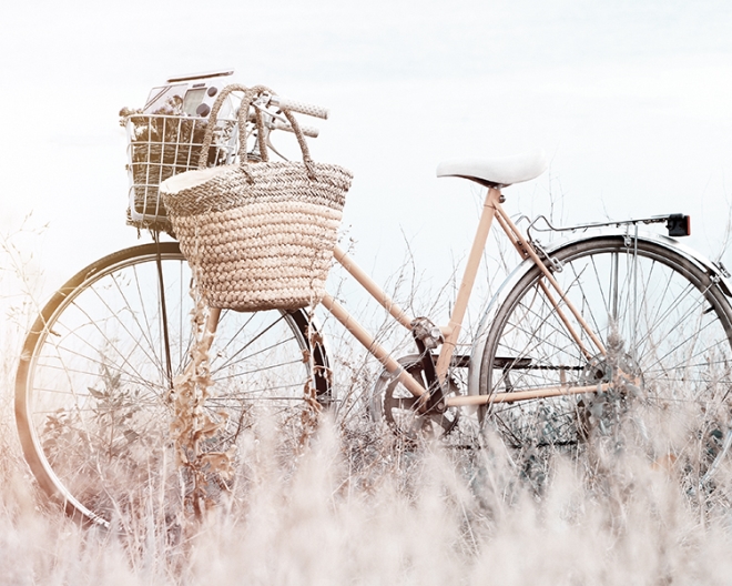 nextART. Field Bike