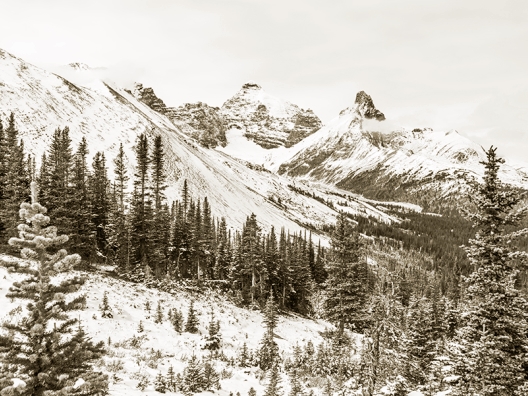 nextART. Mountain Tops
