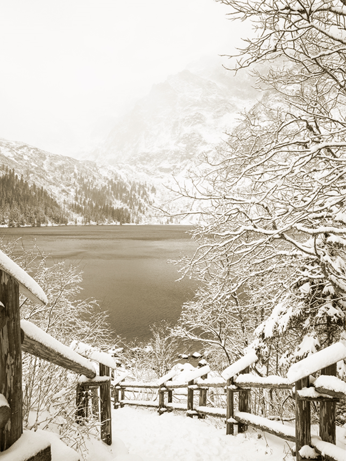 nextART. Snowy Bridge