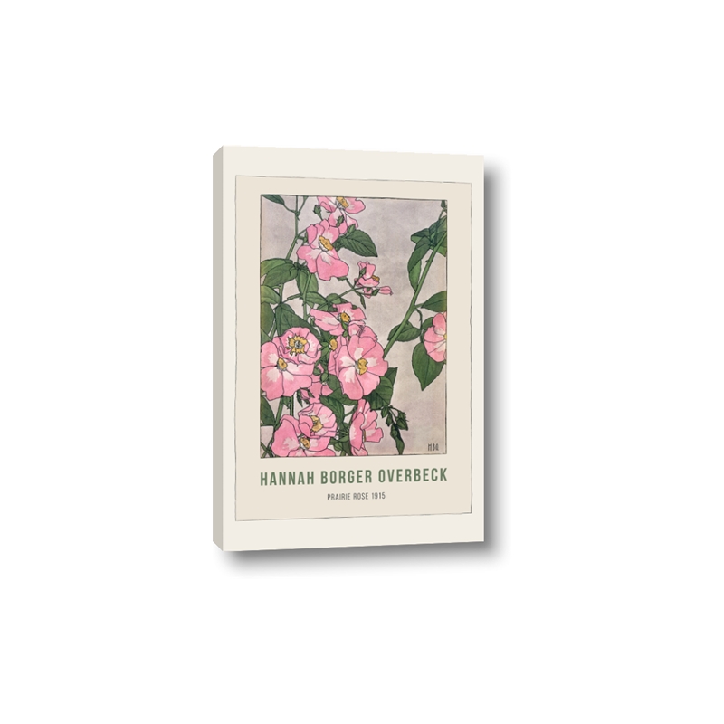 nextART. Prairie Rose - Hannah Overbeck