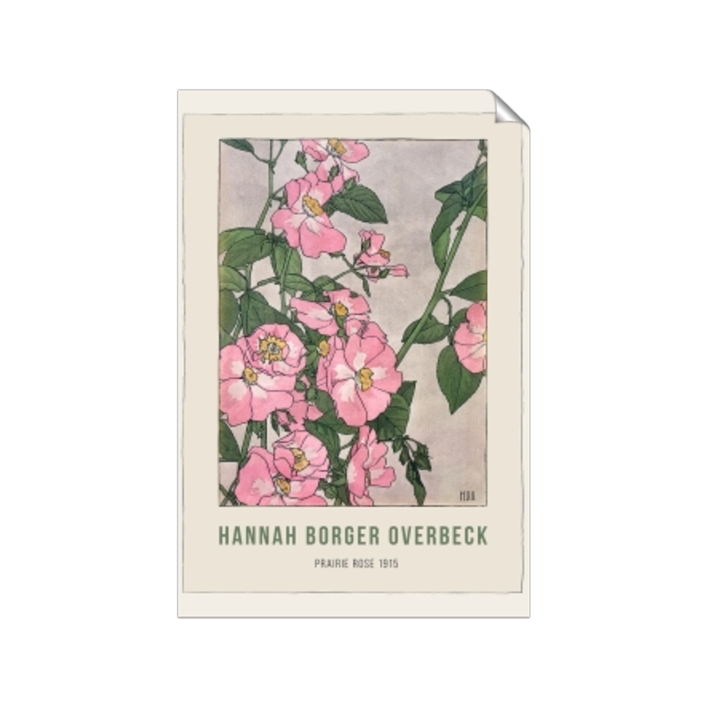 nextART. Prairie Rose - Hannah Overbeck