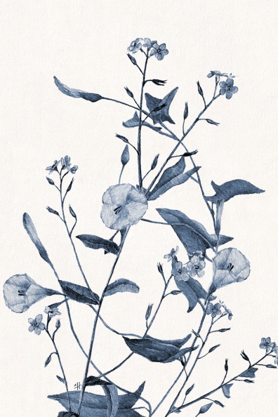 nextART. Blue Flower Sketch II