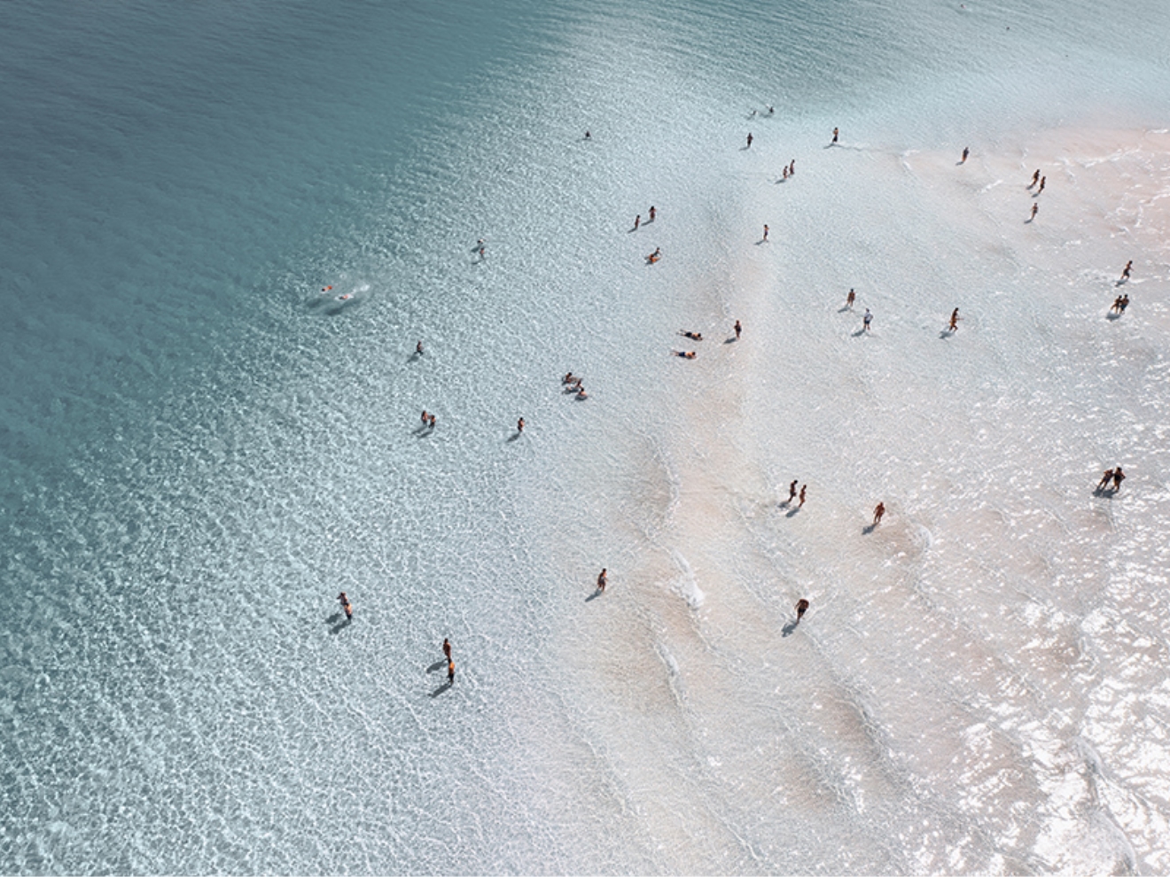 nextART. Seaside Swim
