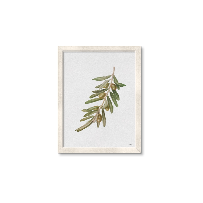 nextART. Olive Branch