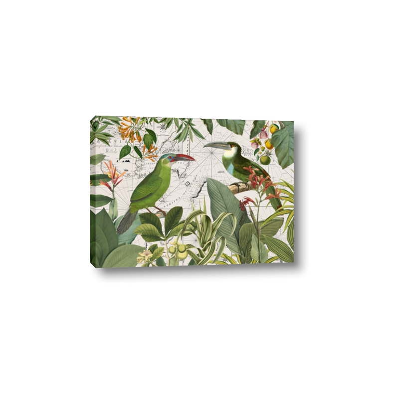 nextART. Green Nostalgic Tropical Birds