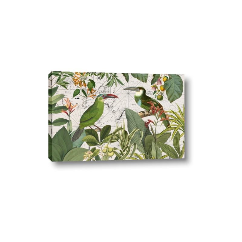 nextART. Green Nostalgic Tropical Birds