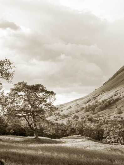 nextART. Green Spring Highlands